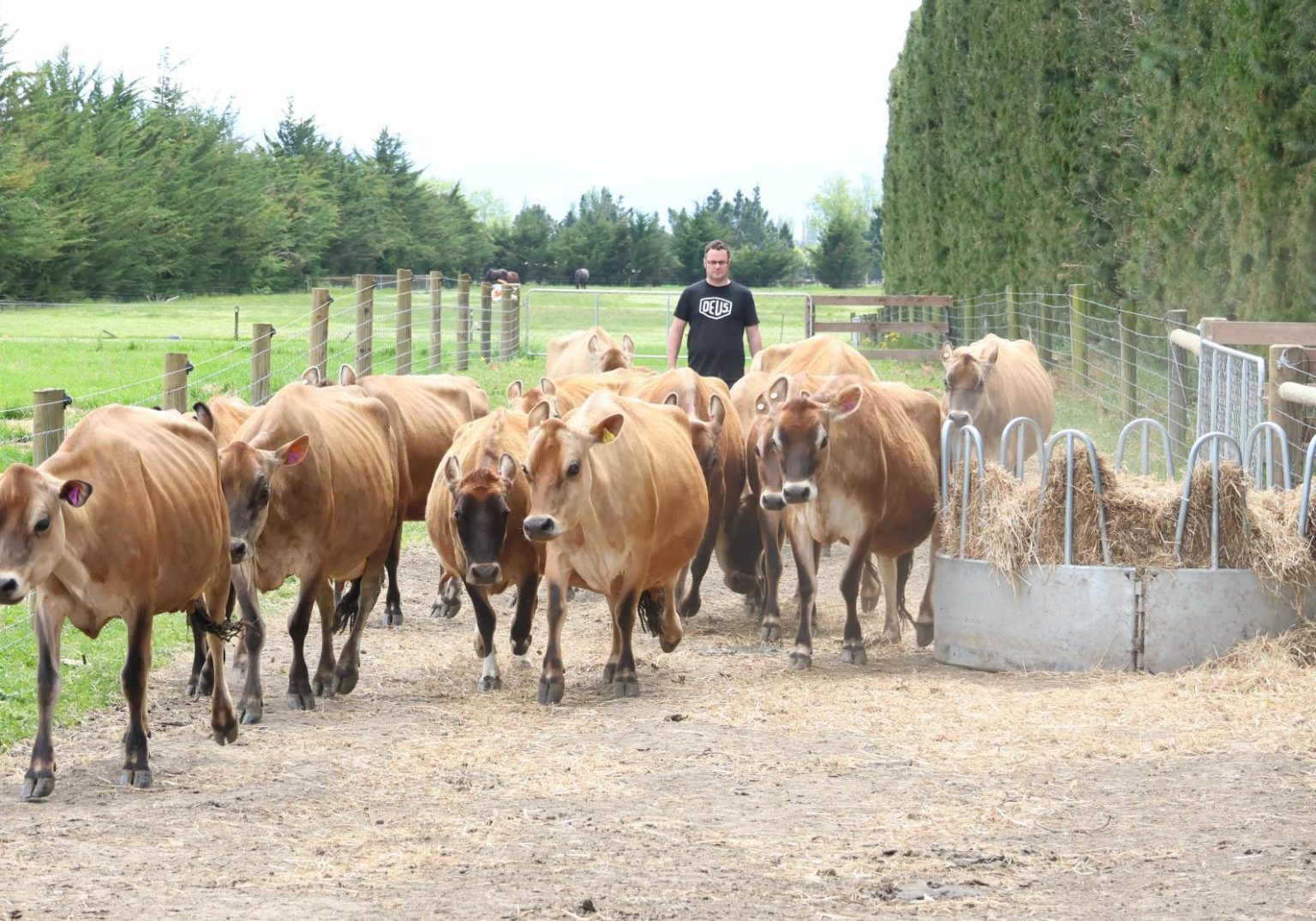 Our Story - Fernside Fresh Milk